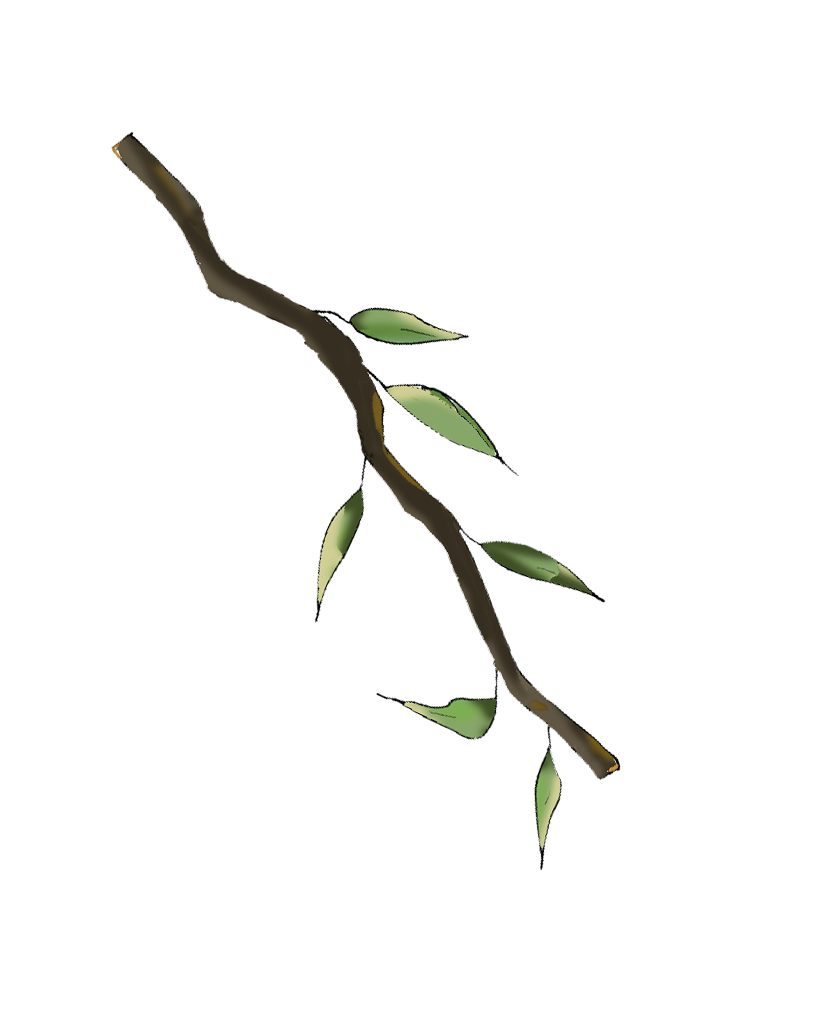 ALAL | עלעל תכנון נוף | ALAL Landscape Architecture